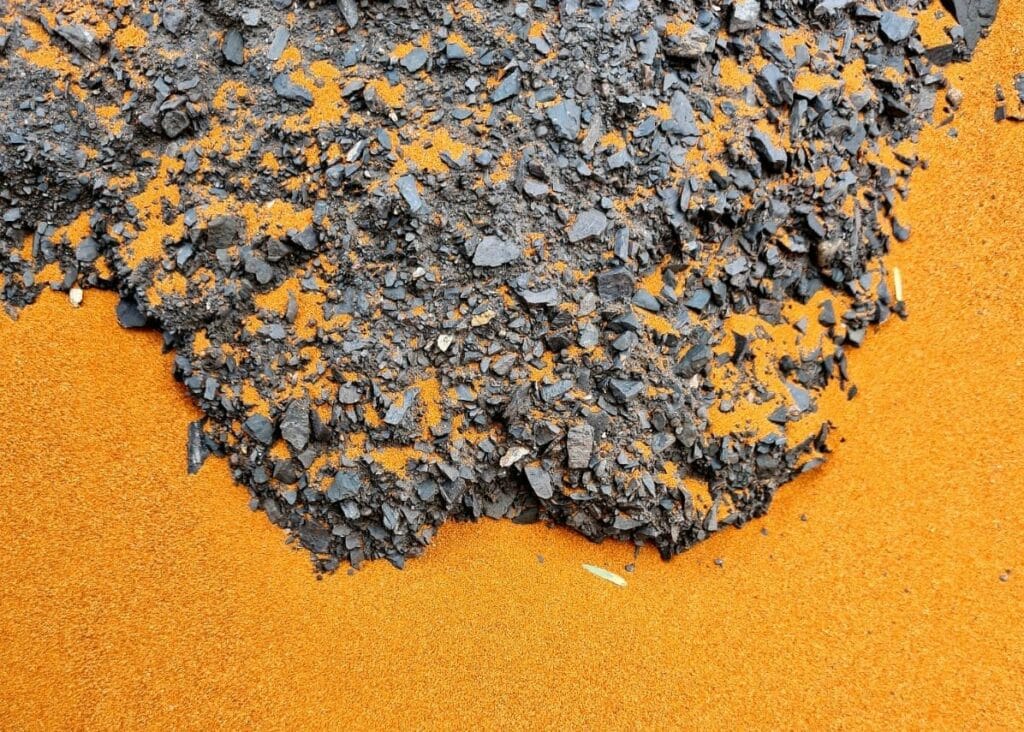 Explore Our Varistem® Case Studies